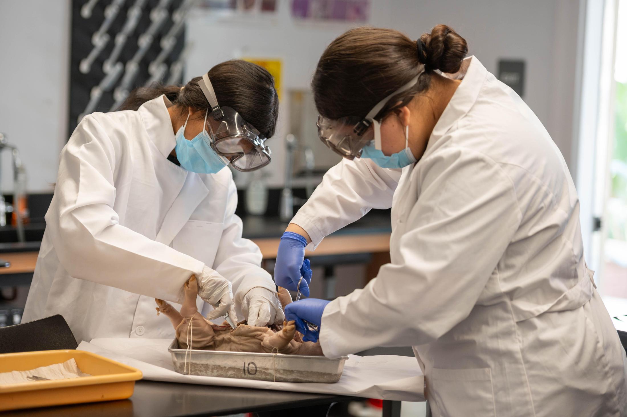 CTE Linked Learning – Academics – Sylmar Biotech Health & Engineering ...