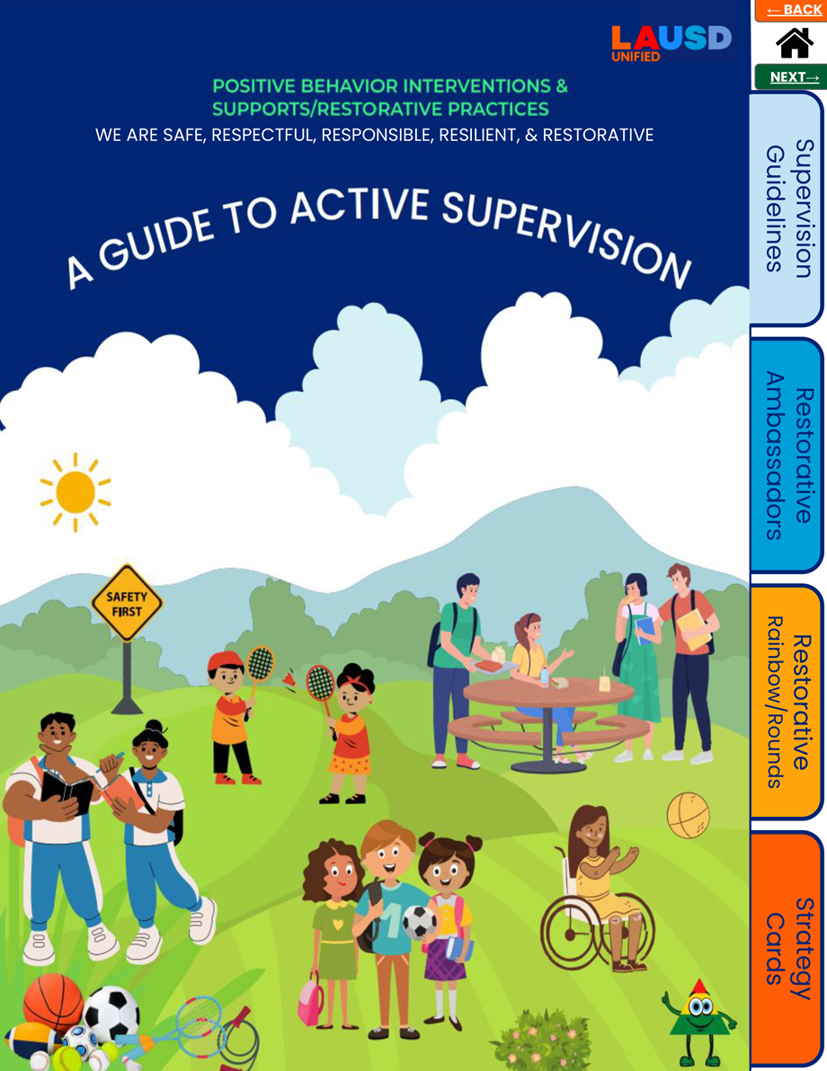 PBIS RP - Multi-tiered Integrated Strategies & Resources – Positive ...