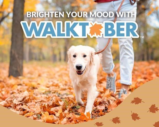 Wellness / Mental Health - Benefits - Poway Unified School District