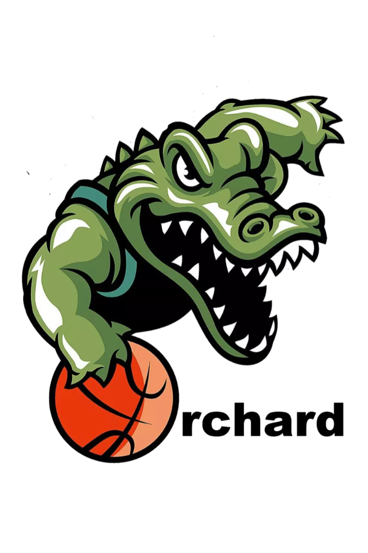 Sports – Programs – Orchard Academies 2C