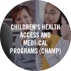 Healthy Start Program – Wellness Programs – Wellness Programs