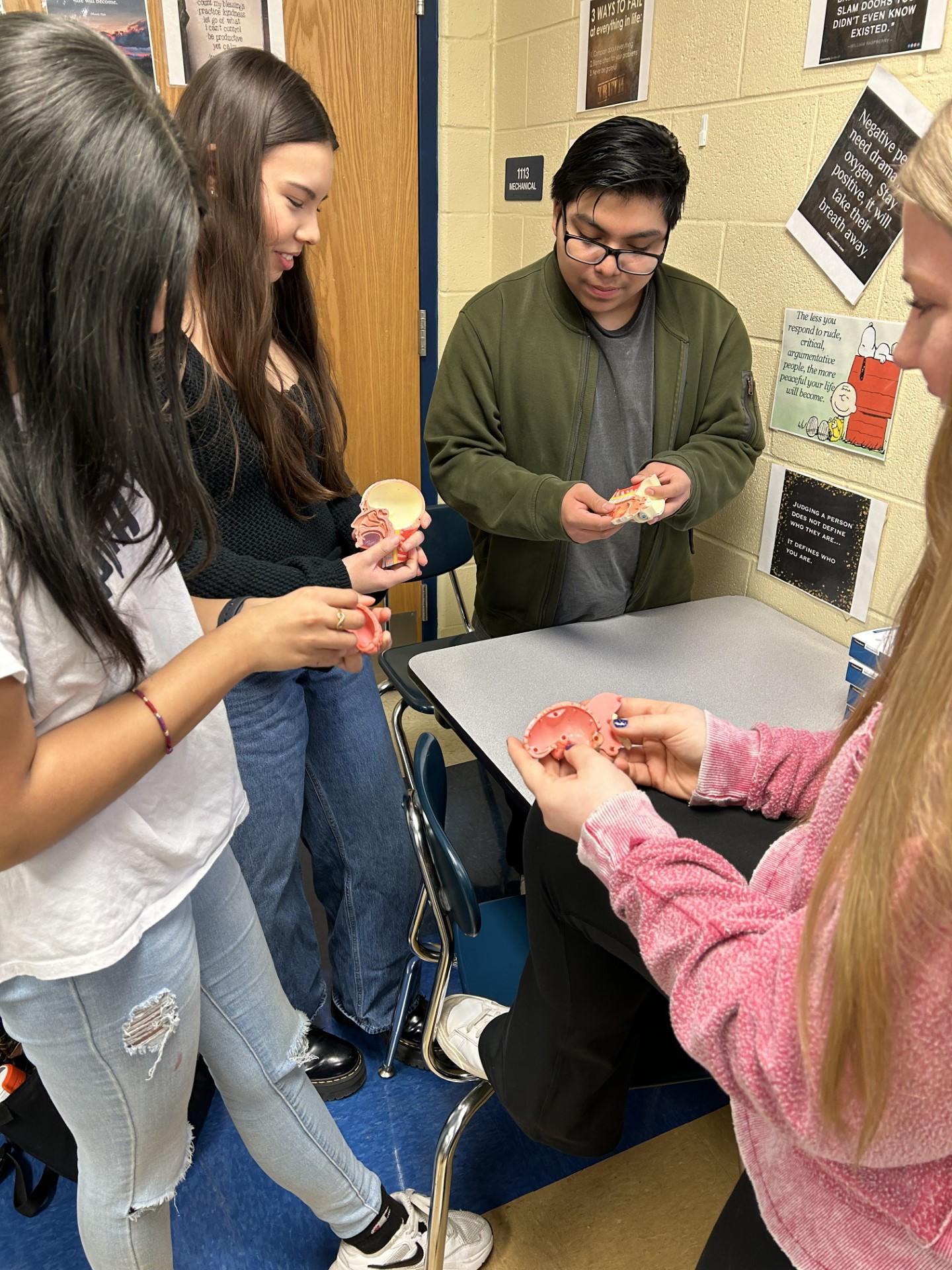 AP Psychology – Claudia House – Shelbyville Central High School