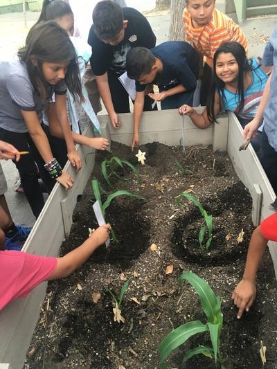 Environmental Science Magnet (est. 1994) – Programs – Multnomah Street ...