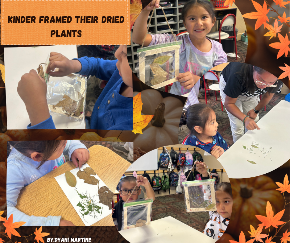 Land-Based Healing & Learning – What We Teach – Native American ...