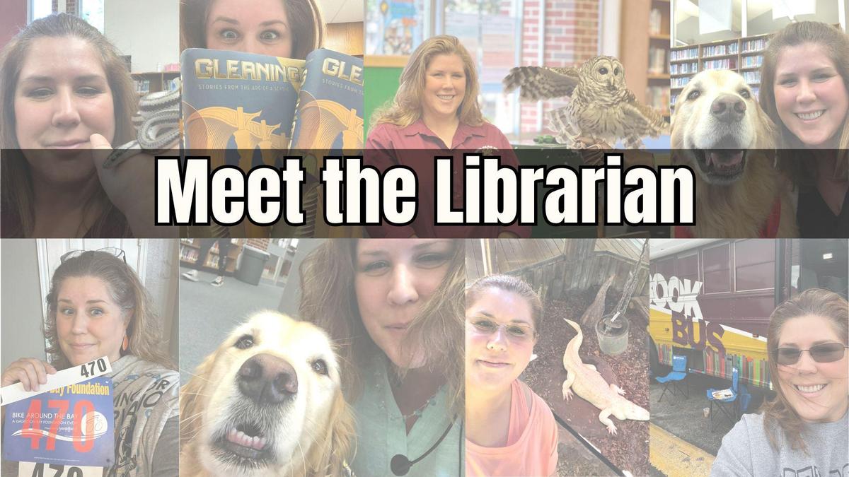 Meet the Librarian – Library – Deer Park Junior High