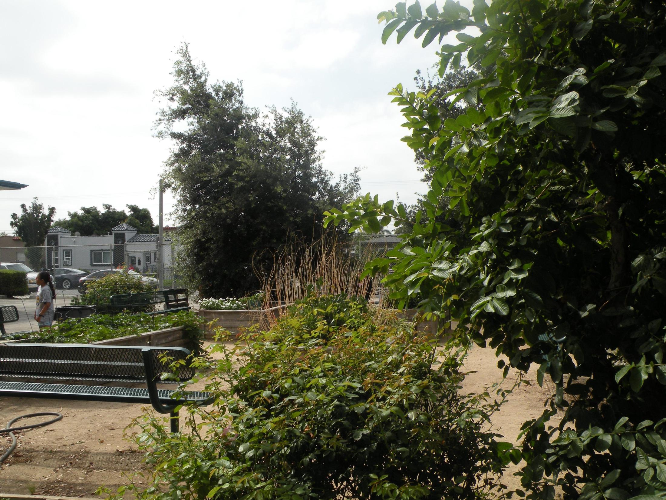 Stanford Garden – Academics – Stanford Avenue Elementary