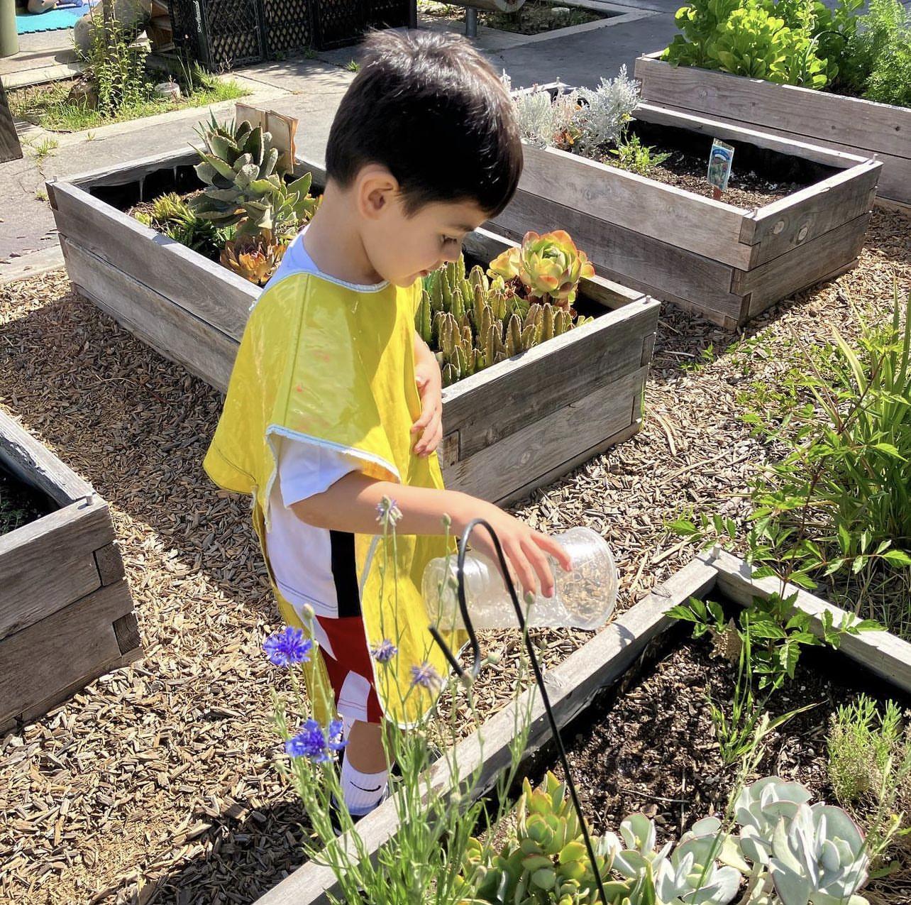 Gardening Study – Curriculum – Jaime Escalante Early Education Center