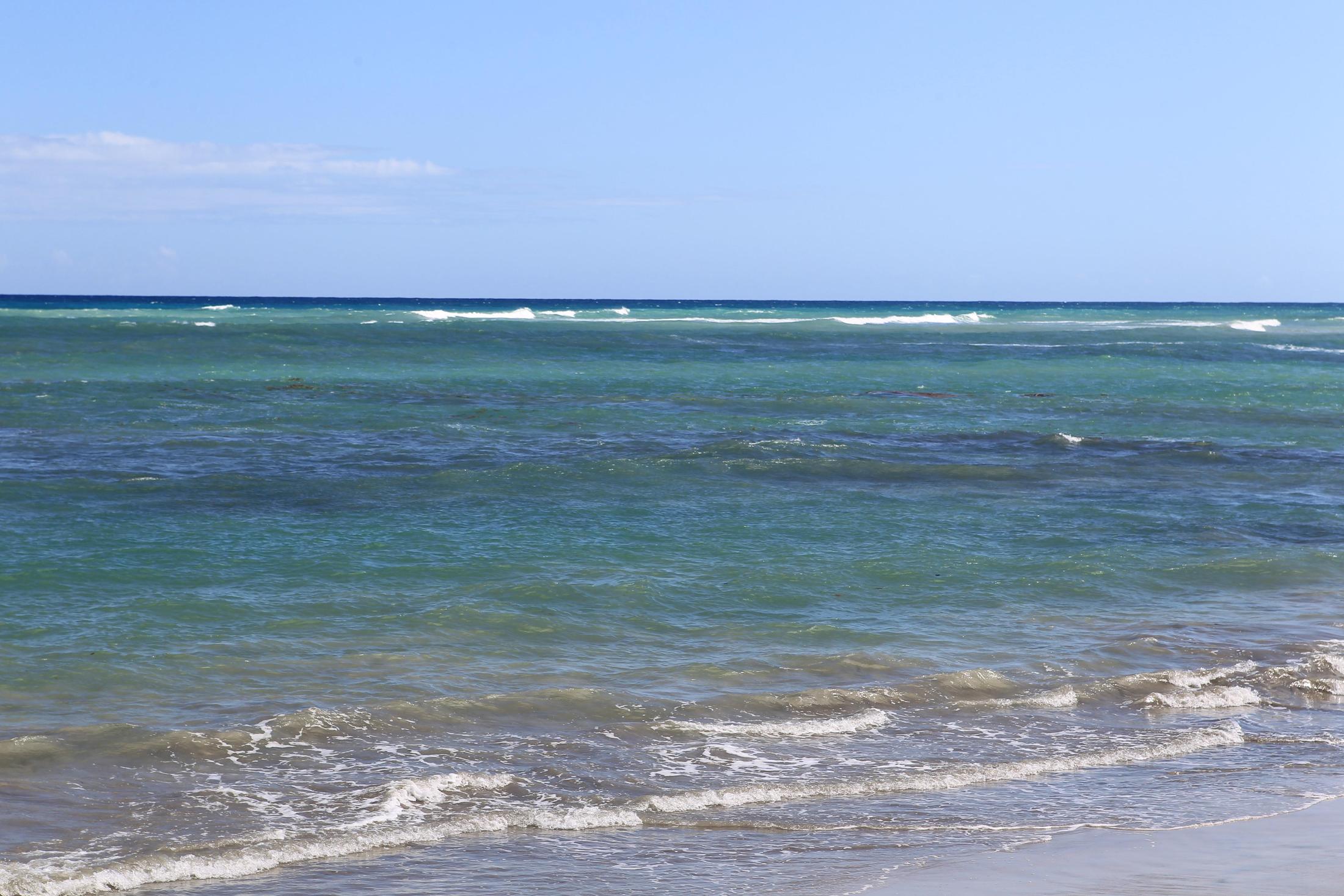 Home – Mr. Paul Wolf – Belle Chasse High School