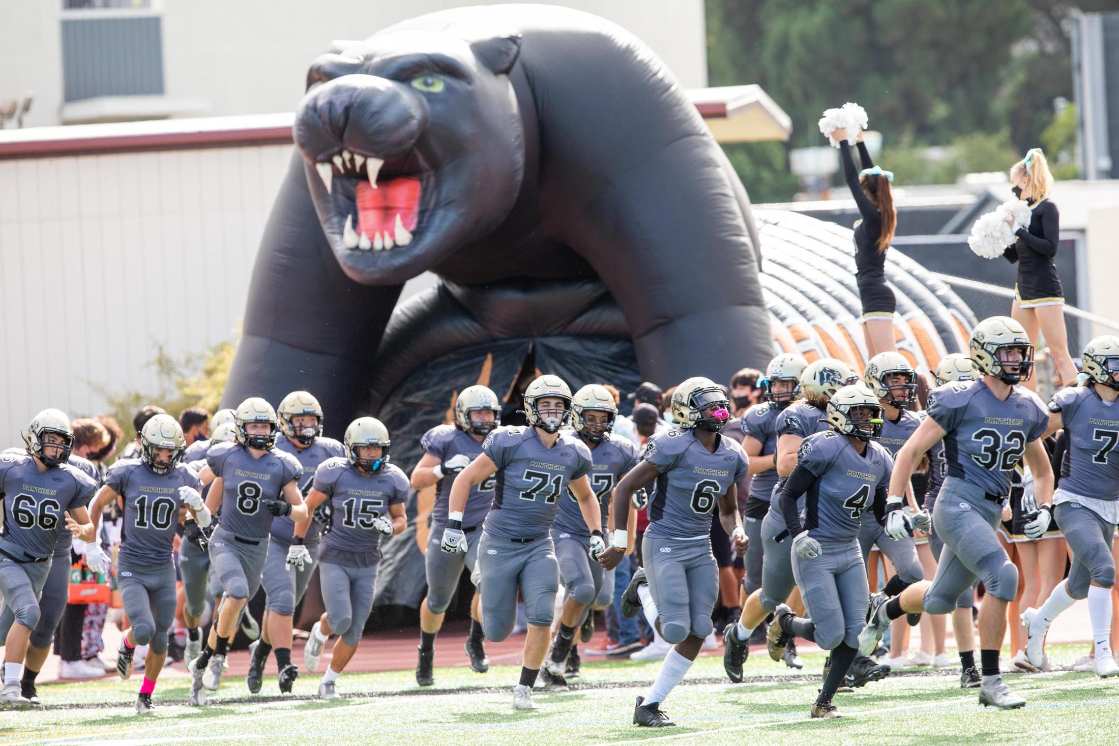 Football Team - Athletics / Activities - Palos Verdes Peninsula High School