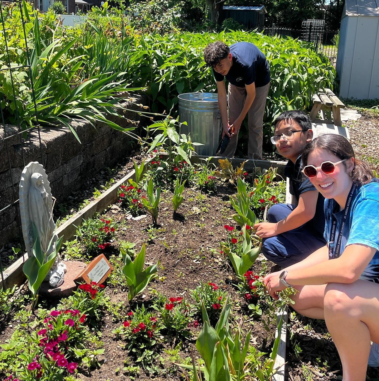 School Partnerships – Community Partners – St. Cecilia School