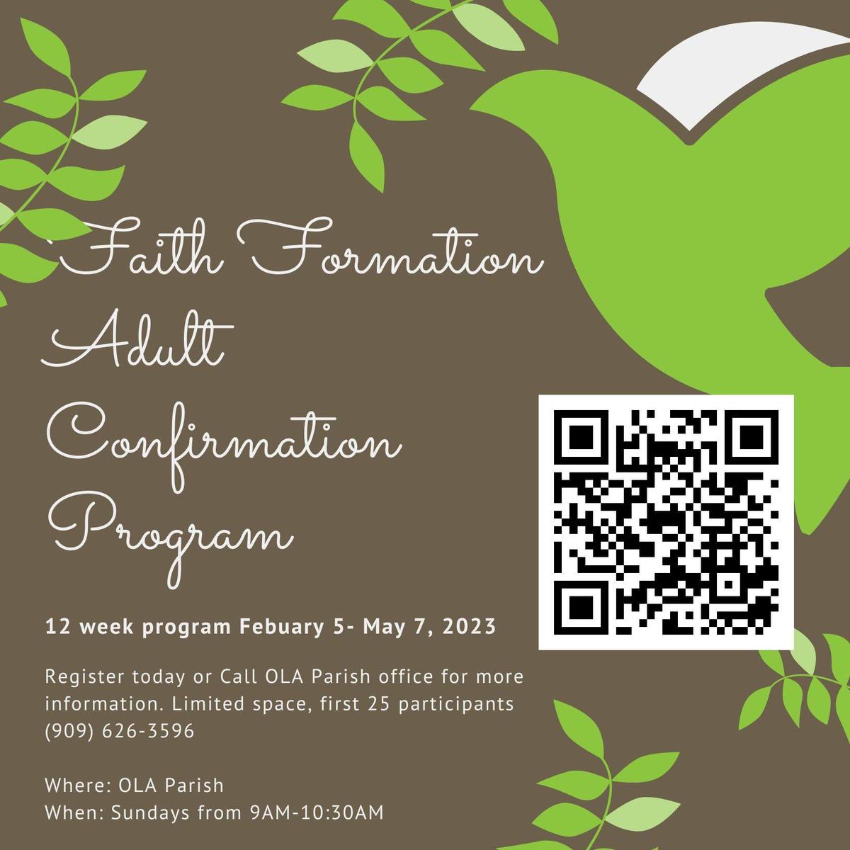 Adult Confirmation – Adult Formation – Our Lady of the Assumption Church
