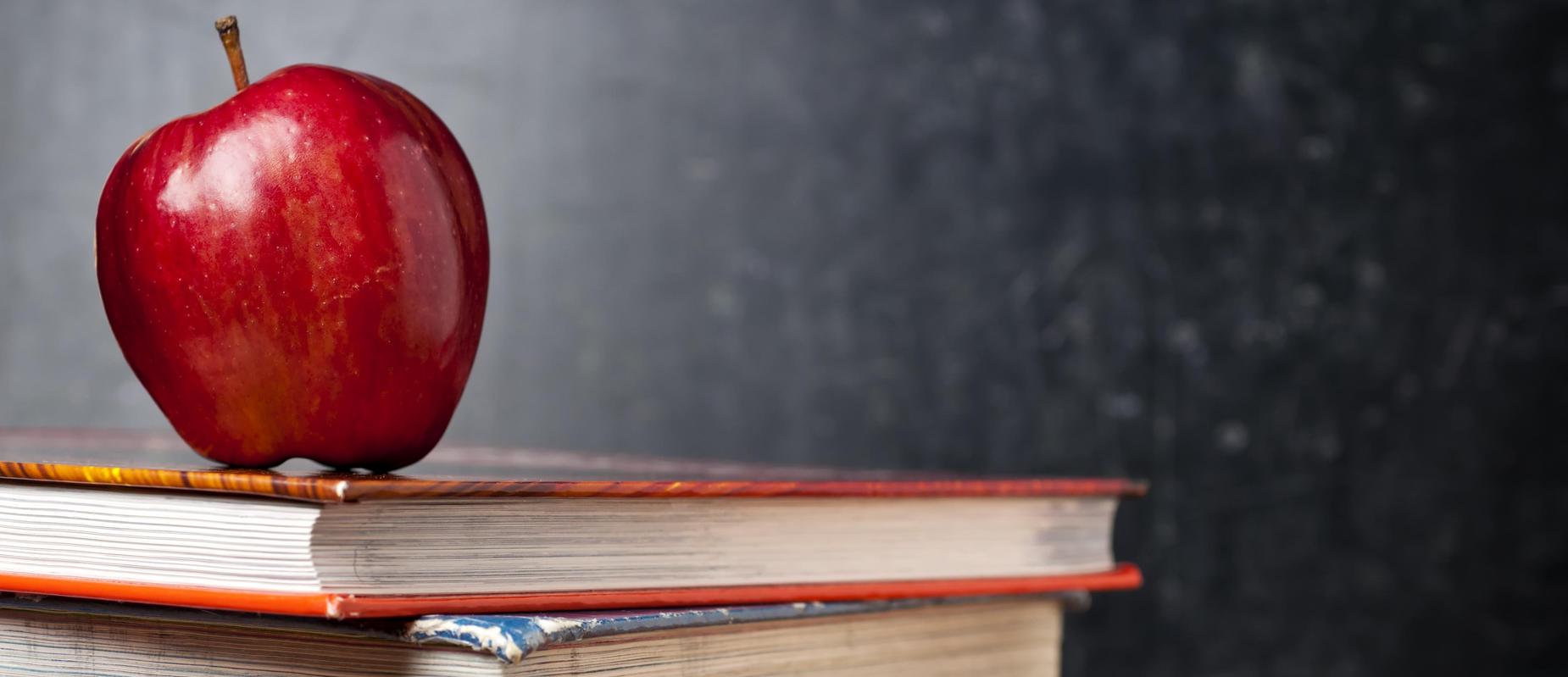 Melvindale-Northern Allen Park Public Schools