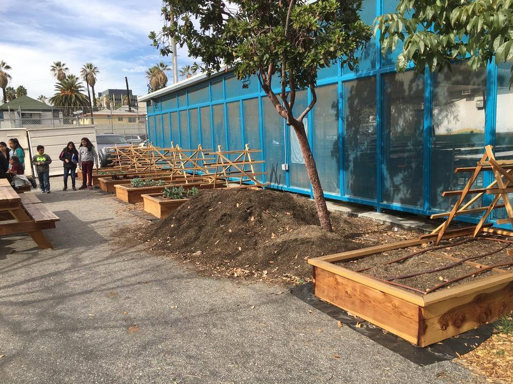 Learning Garden – PROGRAMS – 10th Street Elementary