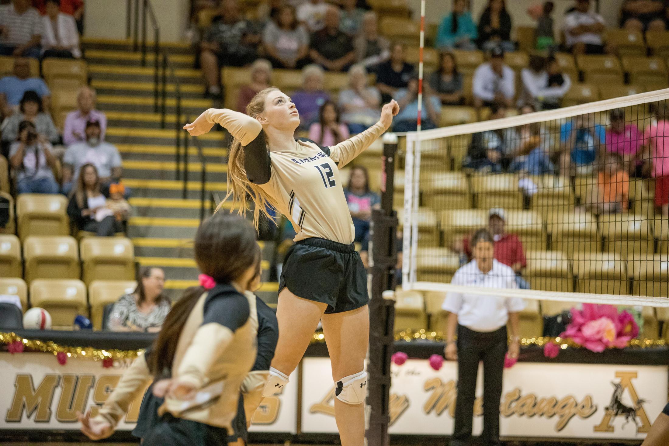 Volleyball - Volleyball - Andrews High School