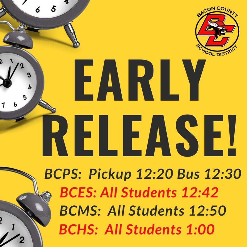 BCSD Winter Storm Update | Bacon County School District