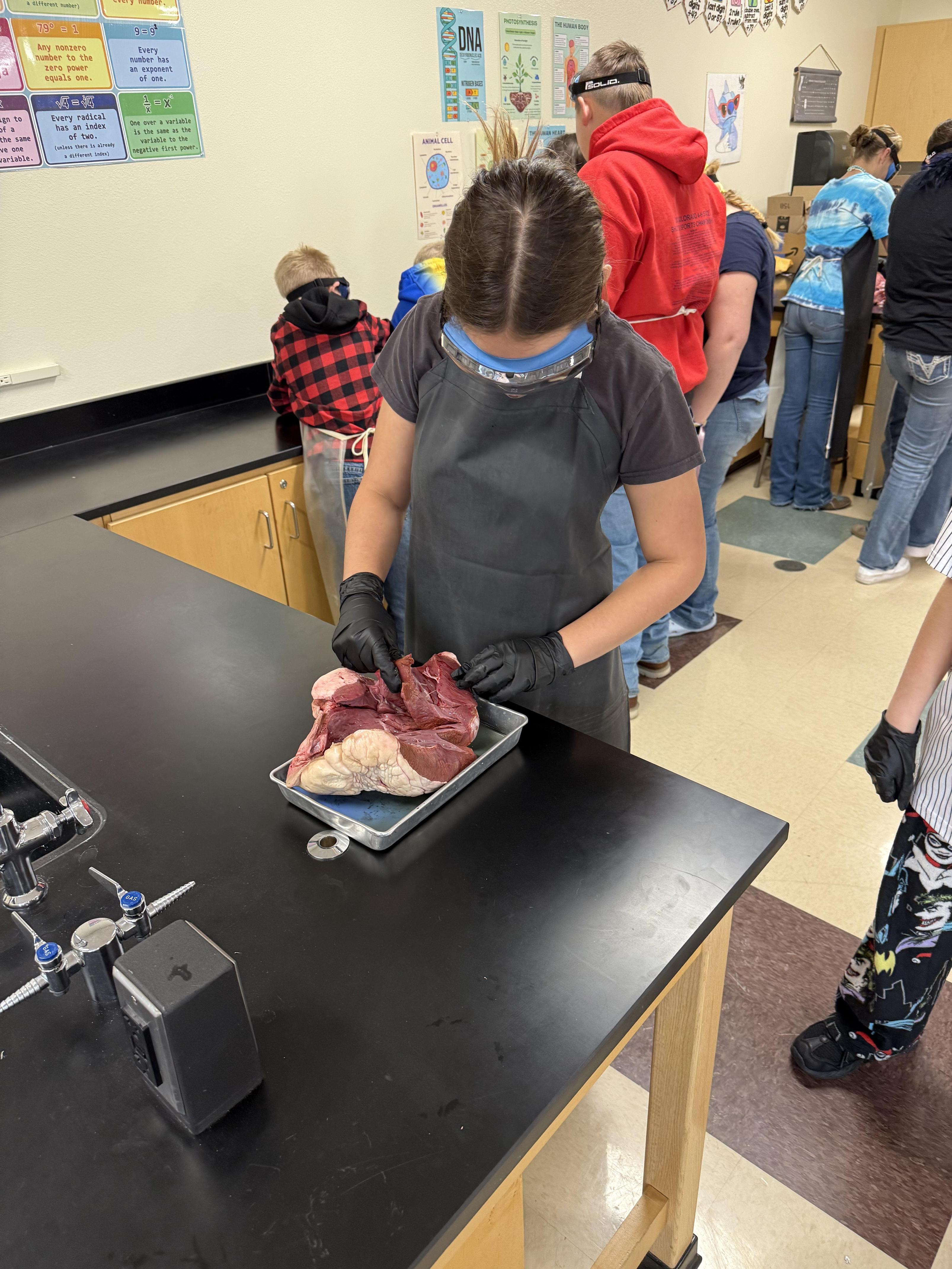 7th Grade Math and Science – Emma Holzworth – Weldon Valley School ...