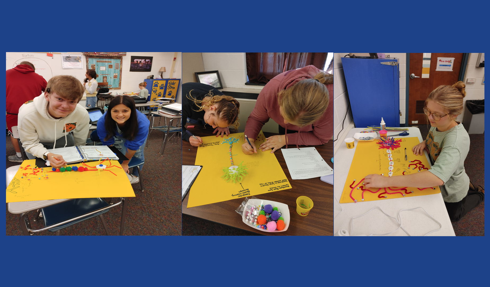 Chestnut Ridge High School