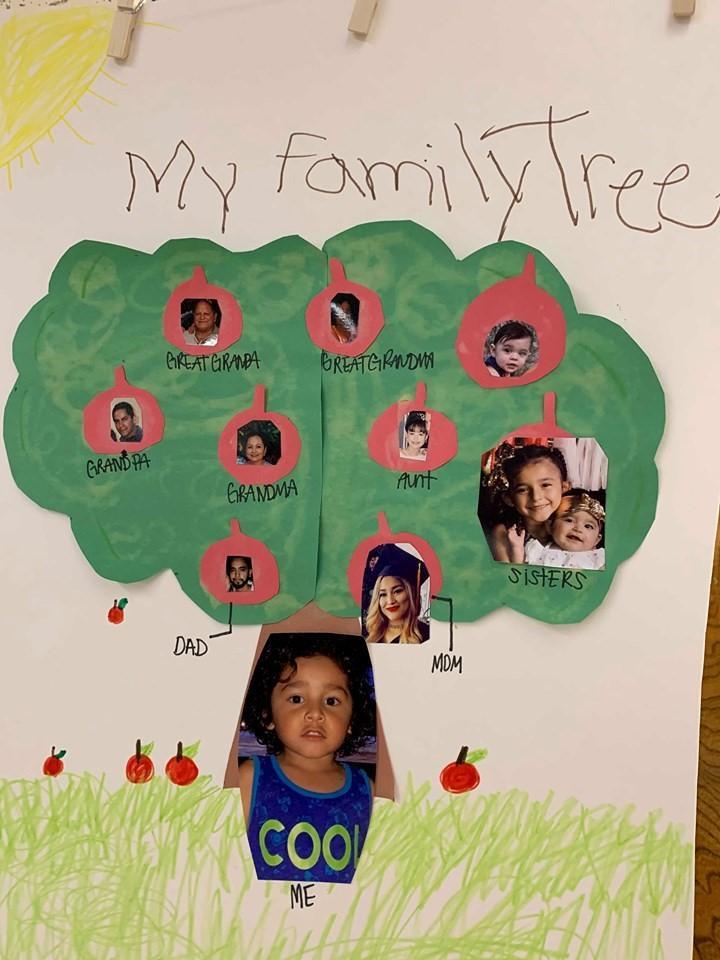 Family Tree Project Ideas For School