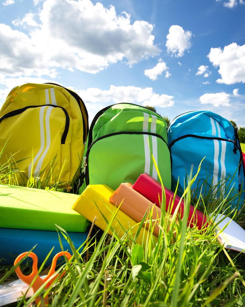 Alessandro Volta Elementary