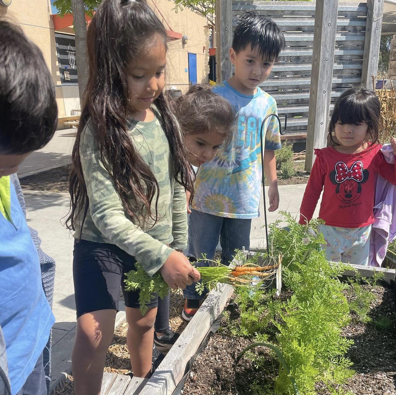 Gardening Study – Curriculum – Jaime Escalante Early Education Center