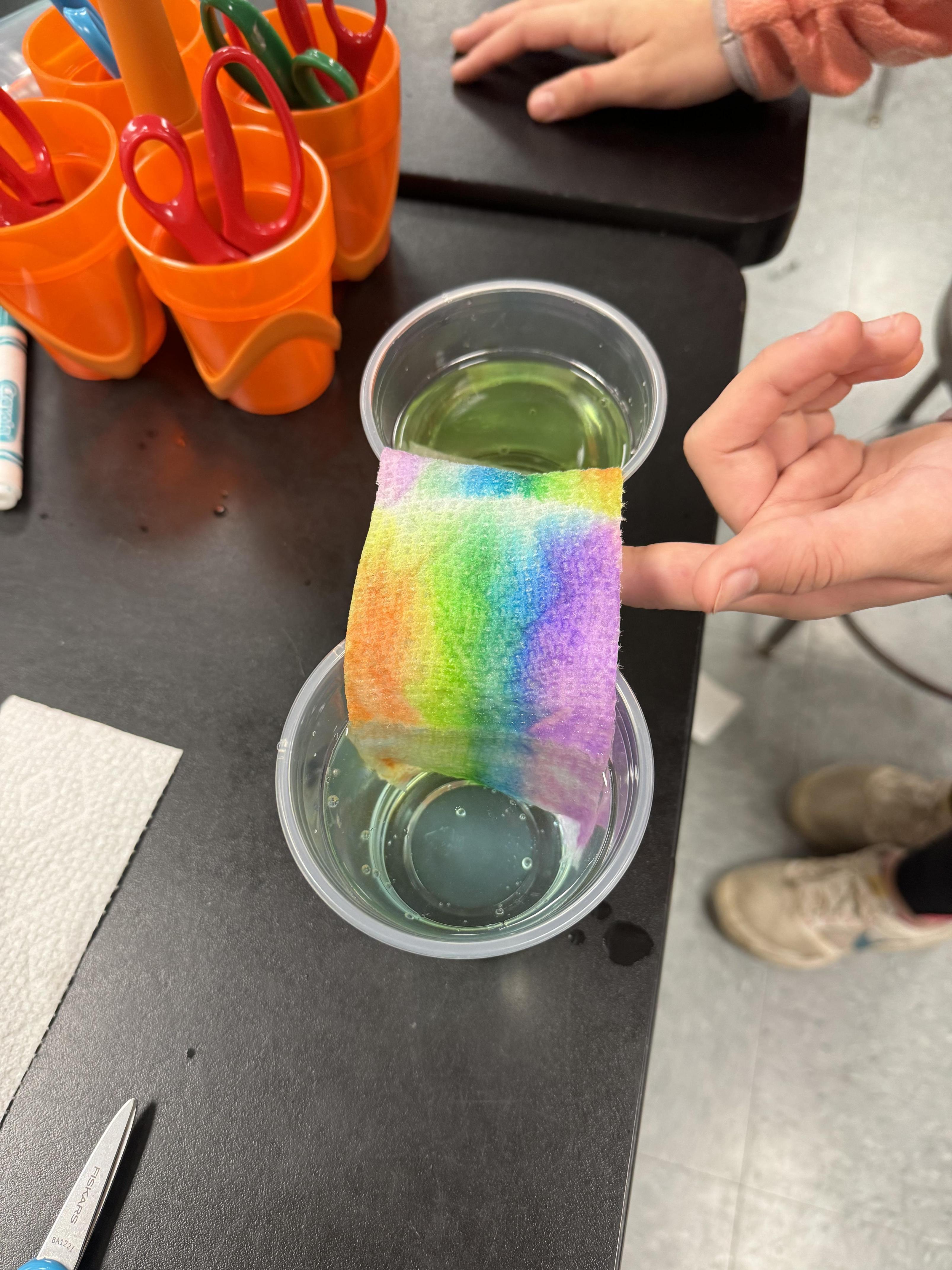 STEM – Enrichment Activities – Wartburg Central Elementary School