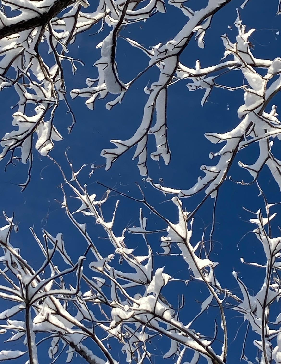 WEDNESDAY Term 3 & spring semester – SLArts After School – Salt Lake ...