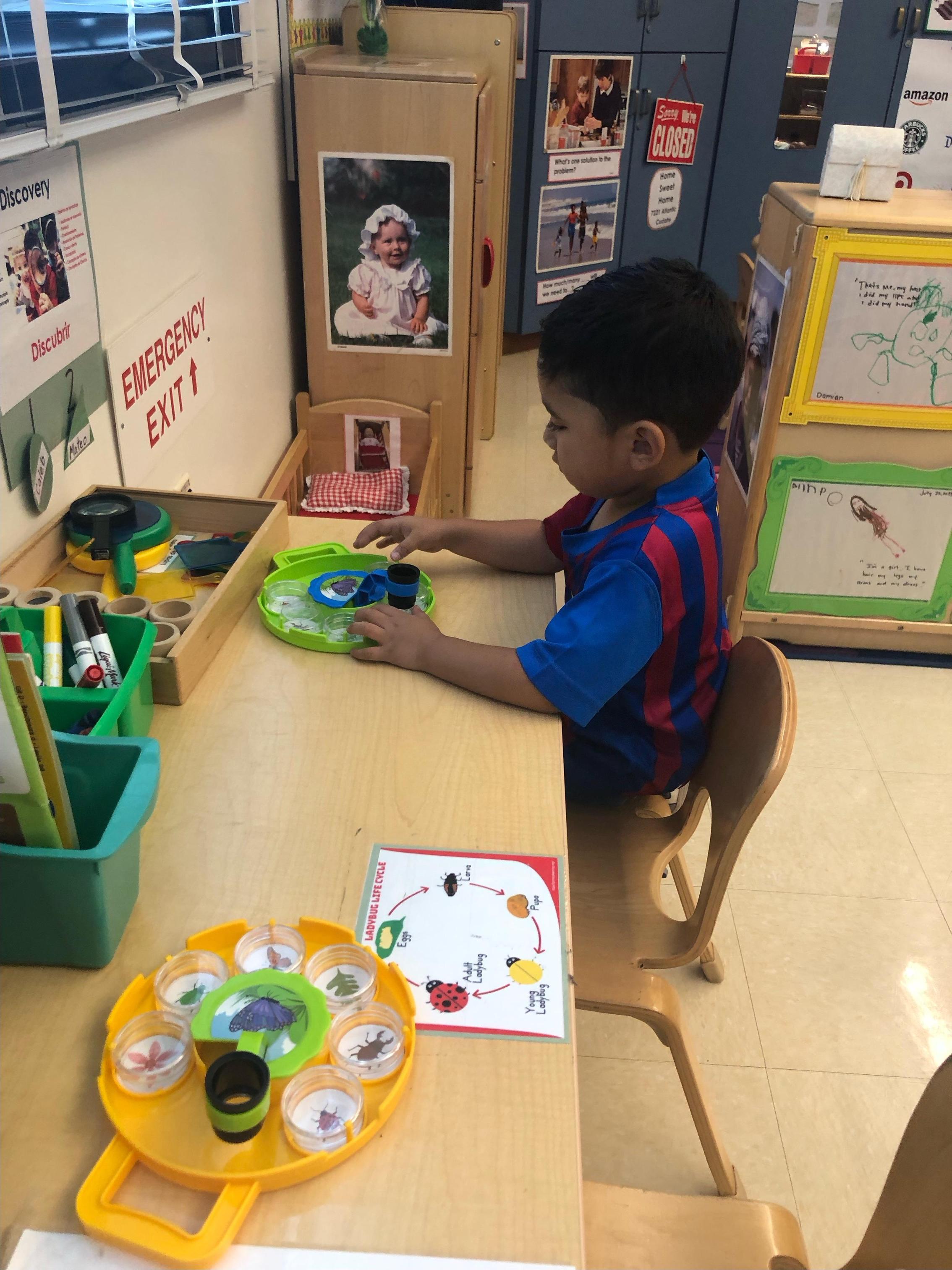 Insects Study – Curriculum – Jaime Escalante Early Education Center