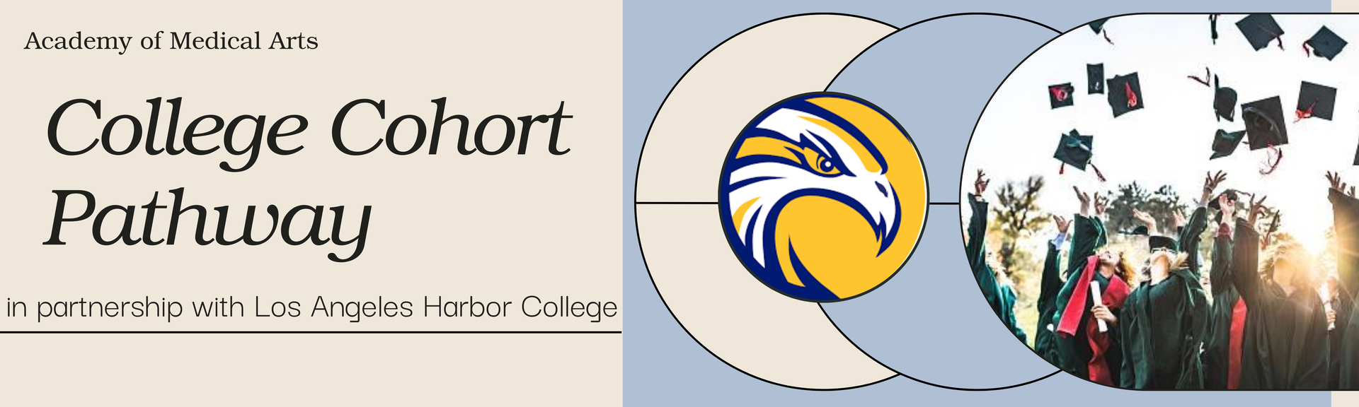 College Cohort Pathway – Academics – The Academy of Medical Arts at ...