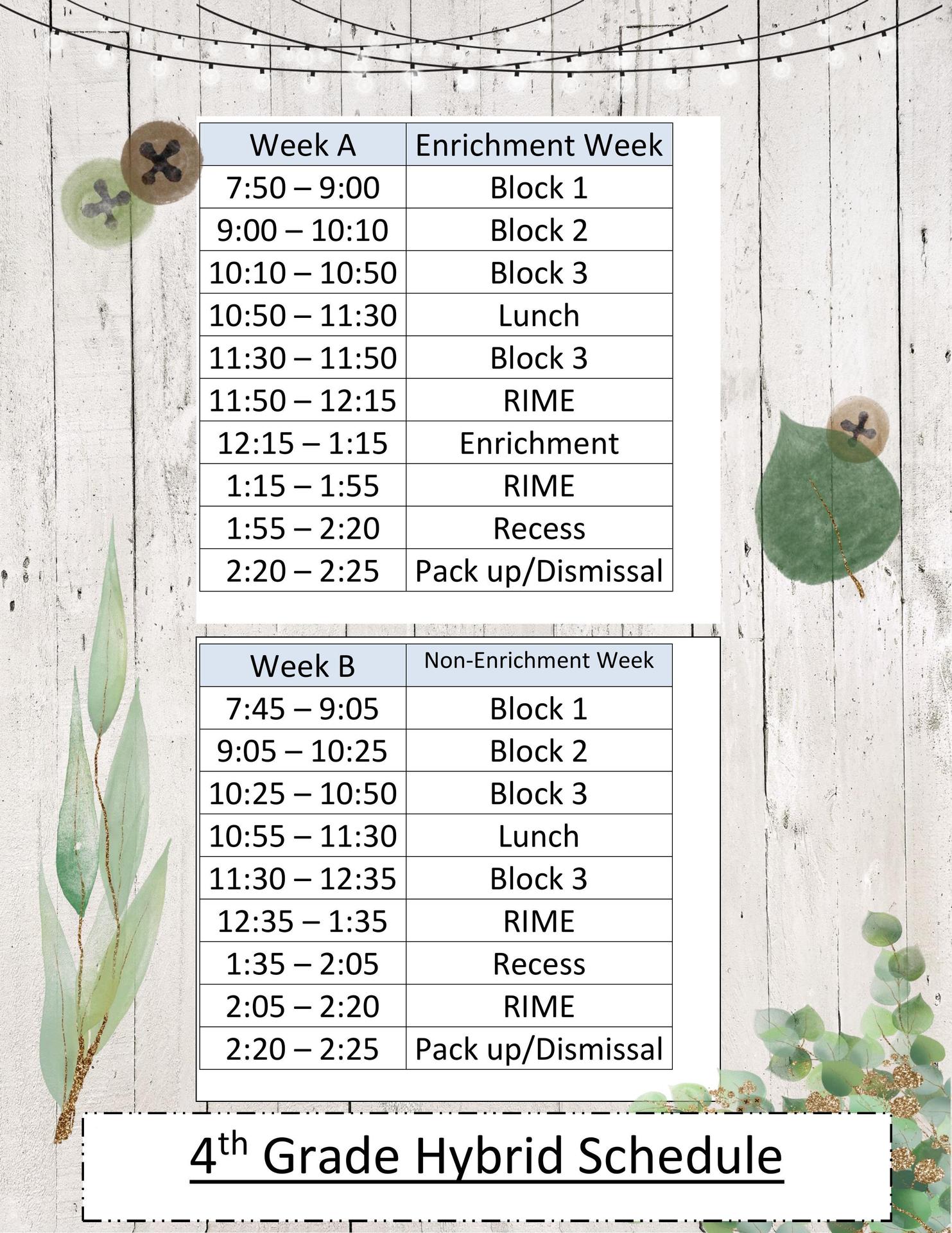 Fourth Grade – Fourth Grade – Friedberg Elementary School