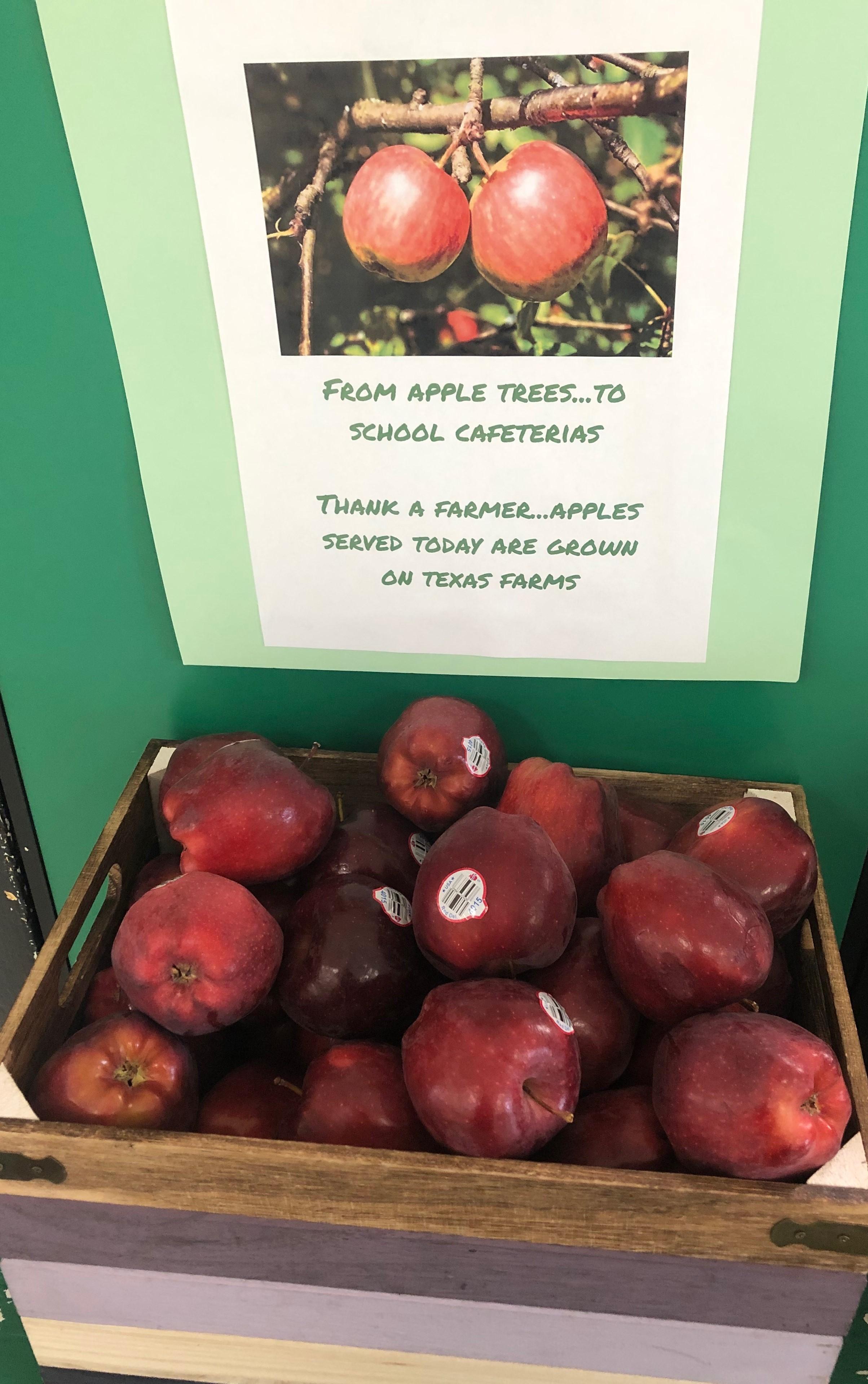 ACE – Parents – Moody ISD