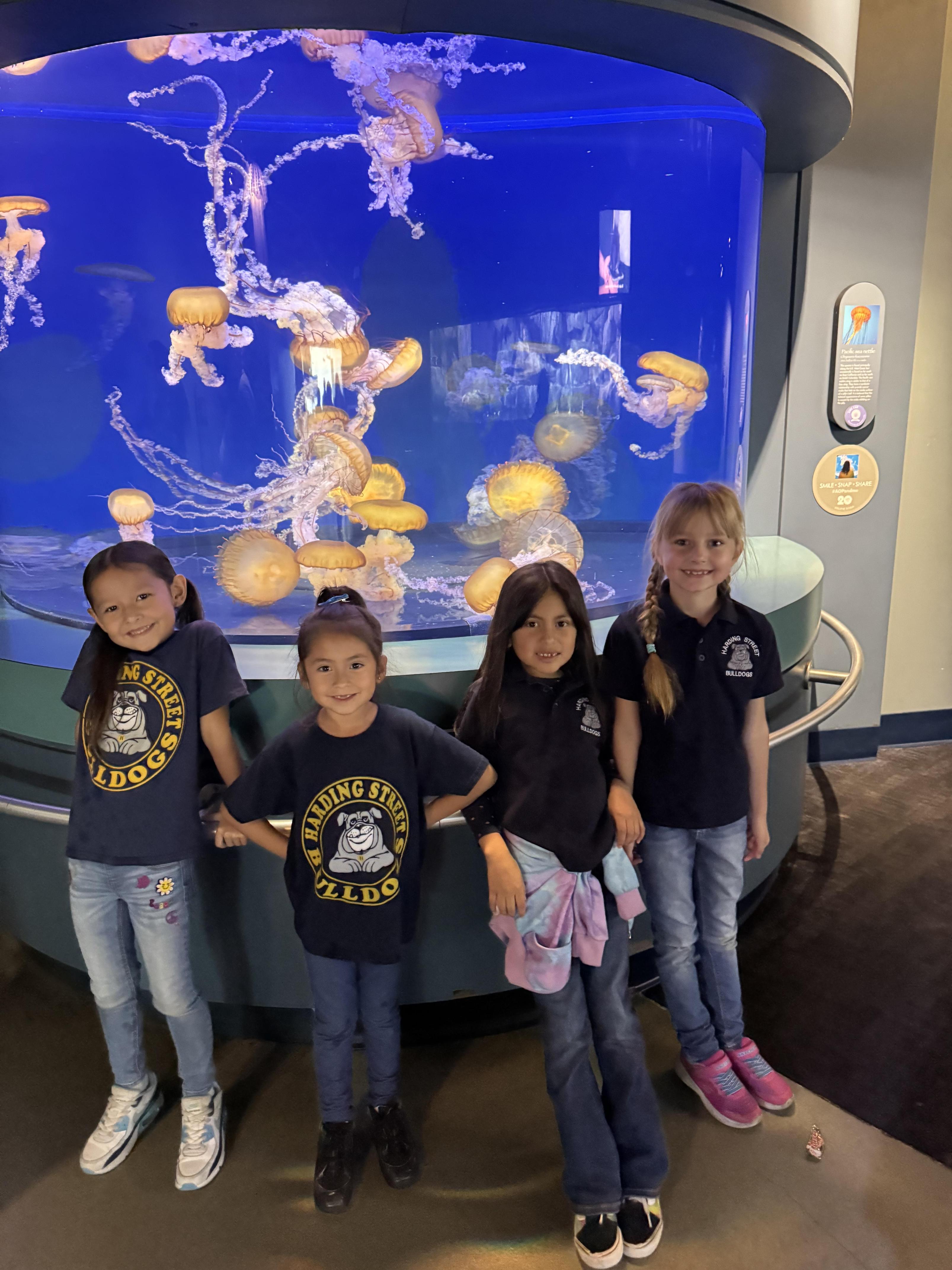 Year at a glance – Students – Harding Street Elementary