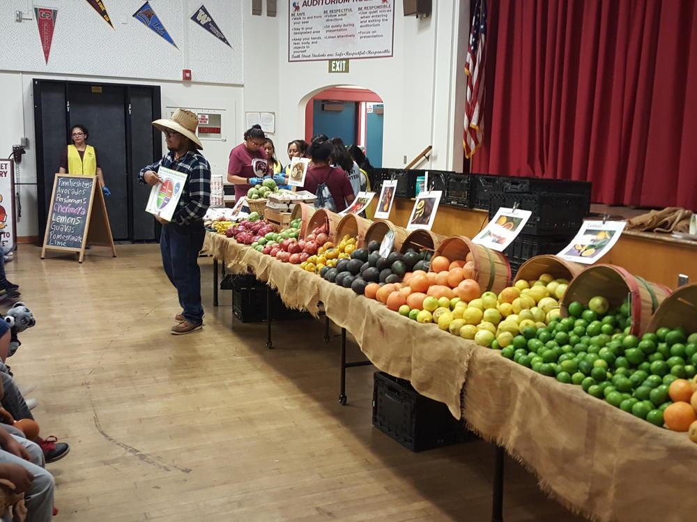 Enrichment – PROGRAMS – 10th Street Elementary