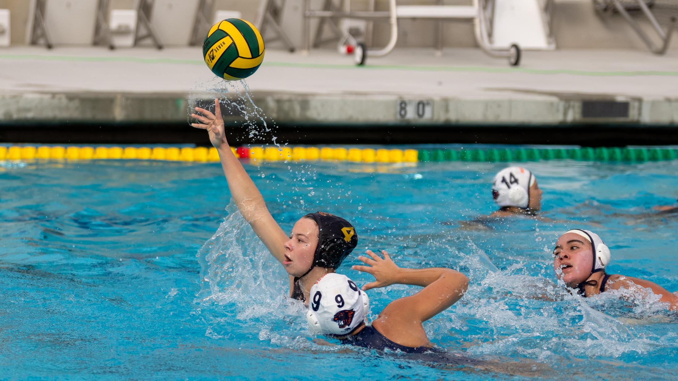 Welcome to LCHS Girls Water Polo – Water Polo, Girls – La Cañada High ...