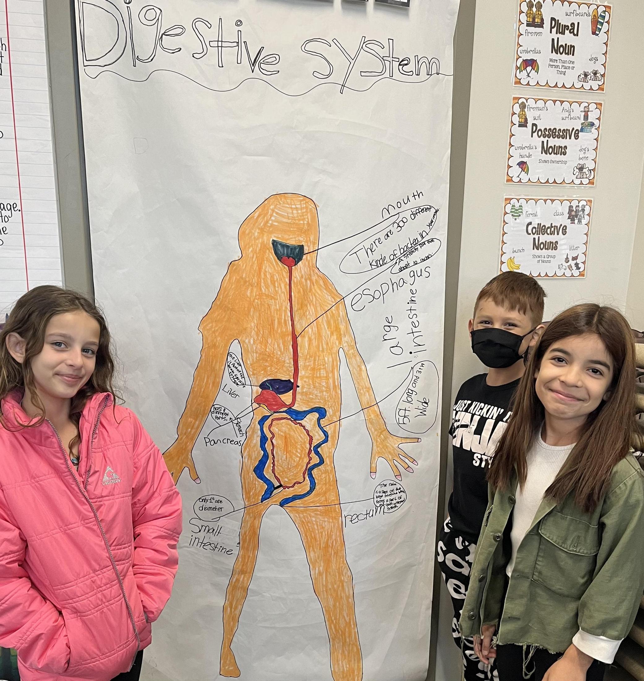 Human Body Project Grade 5