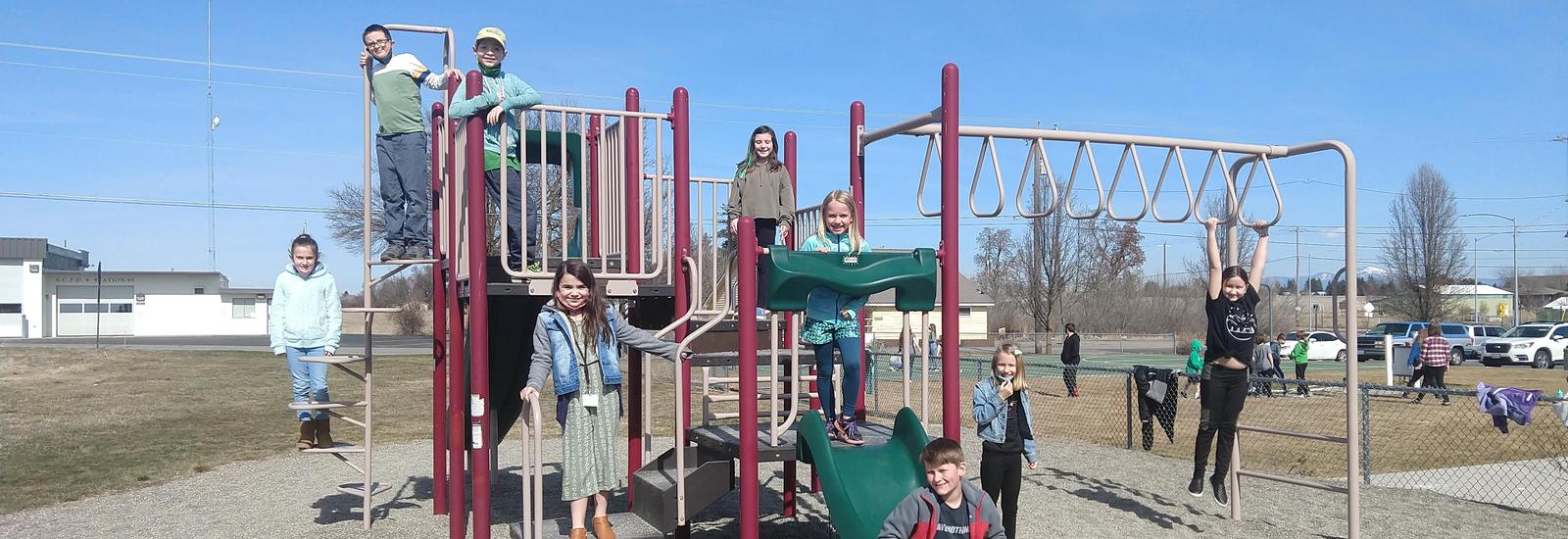 MEAD Learning Options