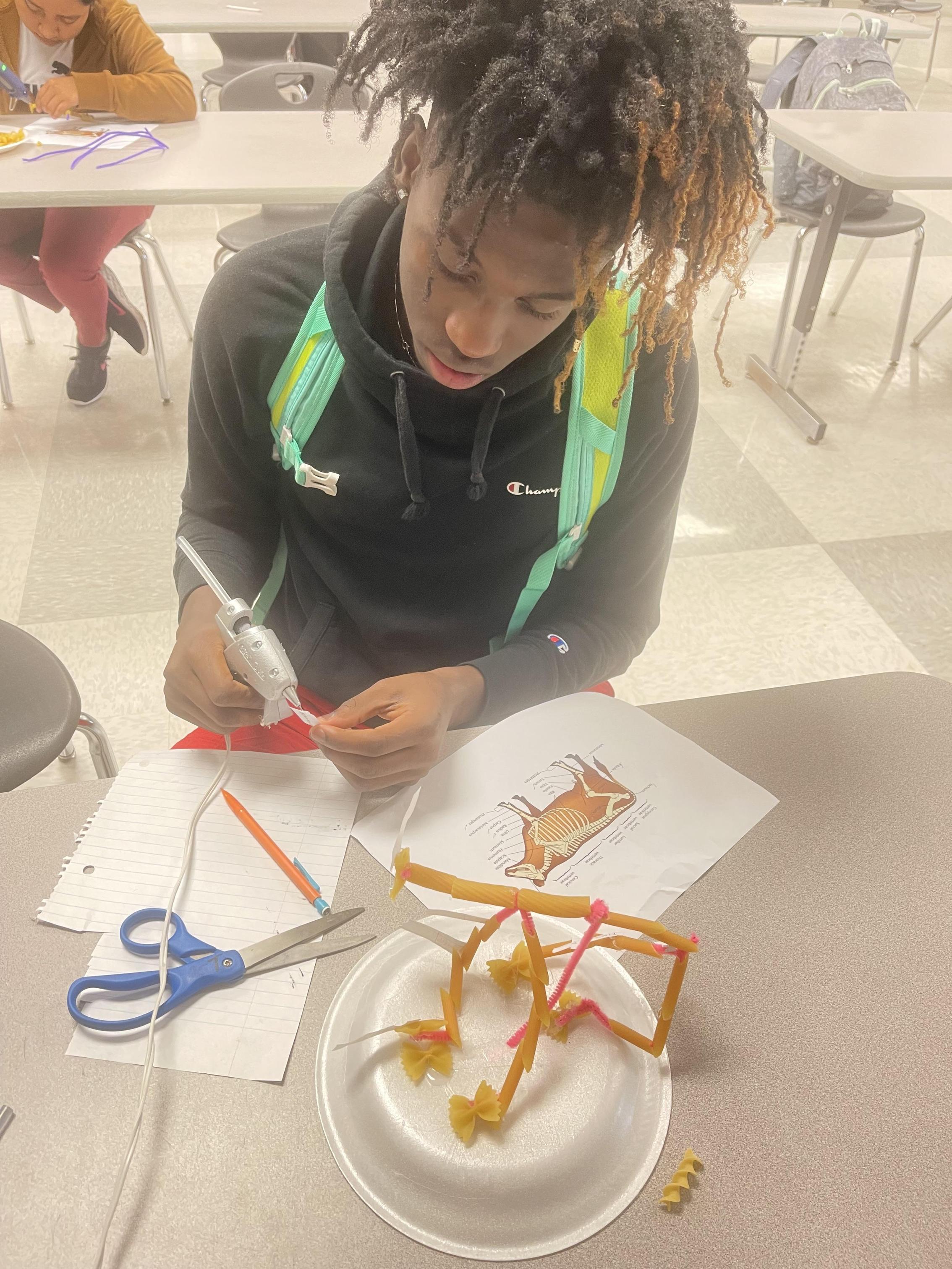 BCHS Animal Science class builds replica Cattle Skeletons | Bacon ...