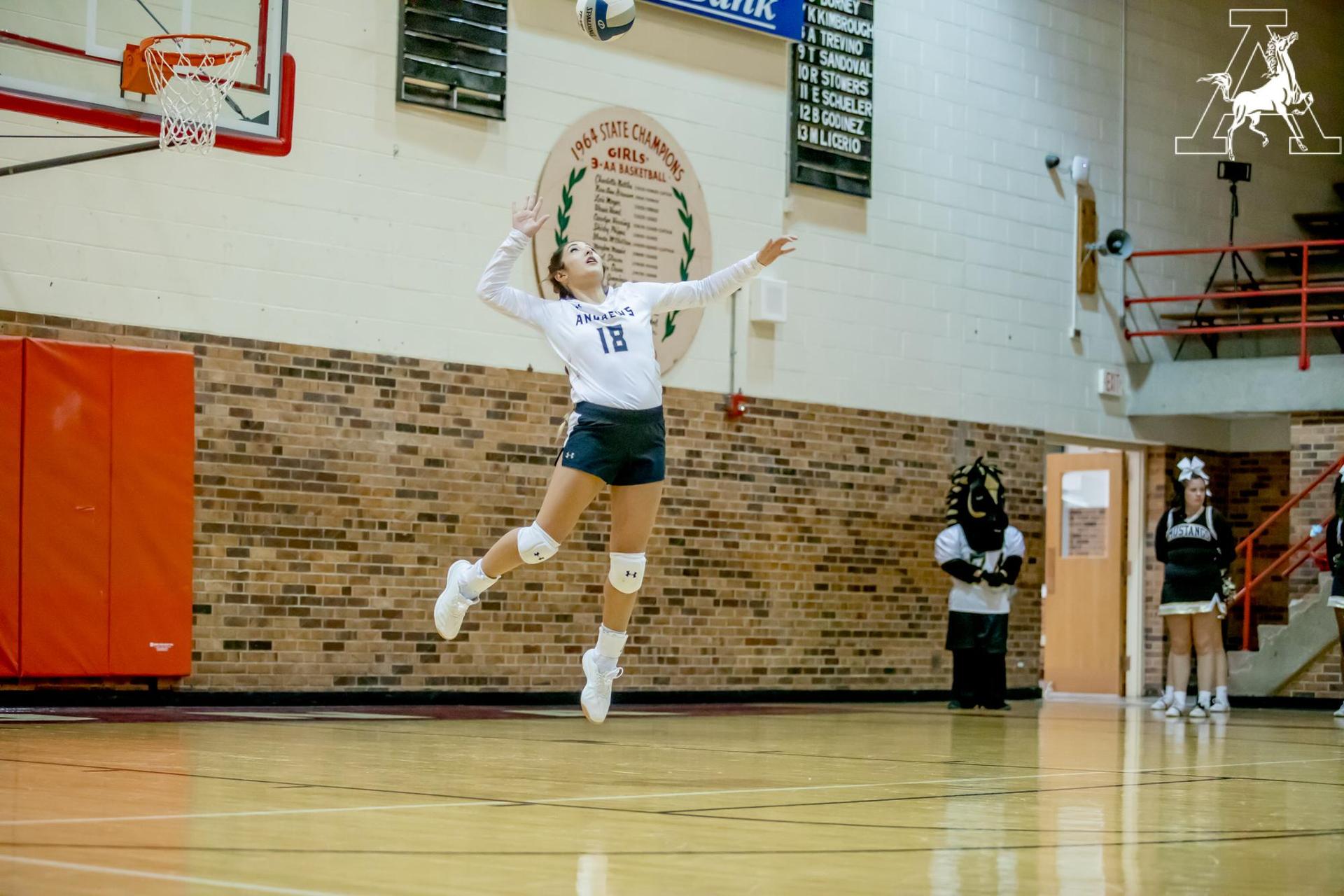 Volleyball - Volleyball - Andrews High School