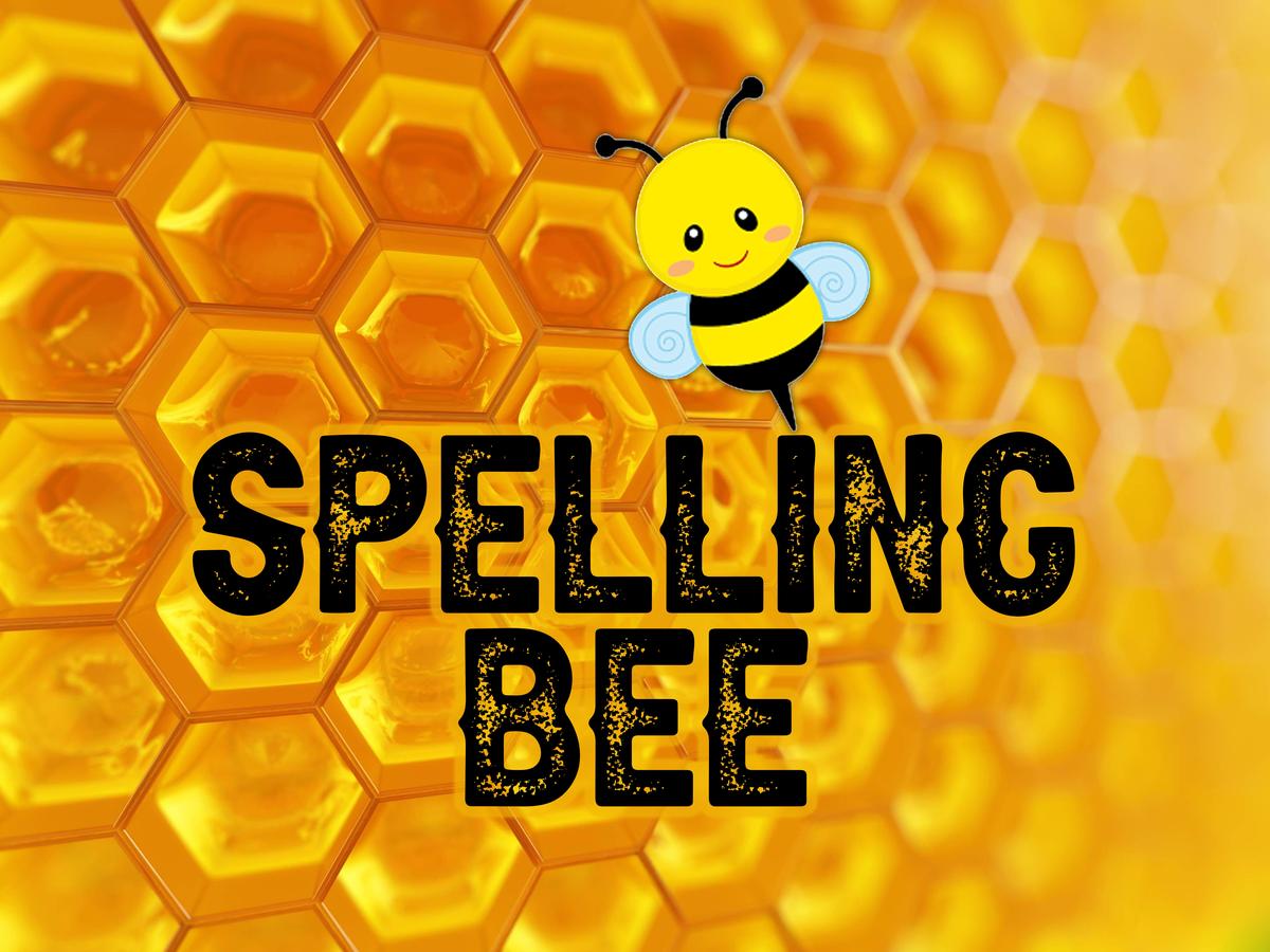 A Message From Jennifer Snyder | Wildwood Catholic Academy