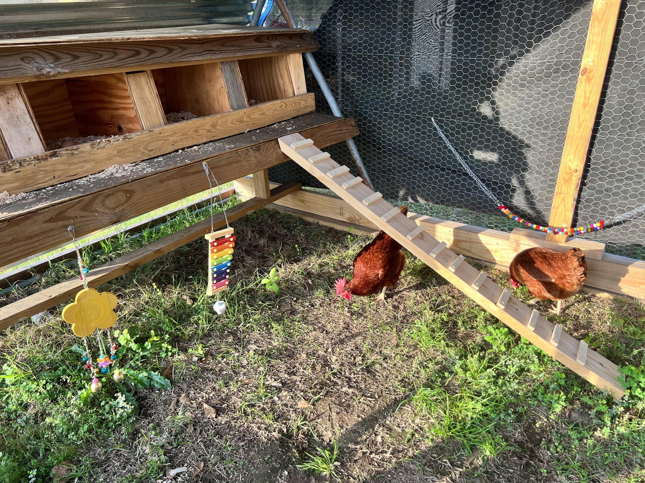 Agriculture and S.T.E.M. in the Classroom! – Christan Rosier – Thomson ...