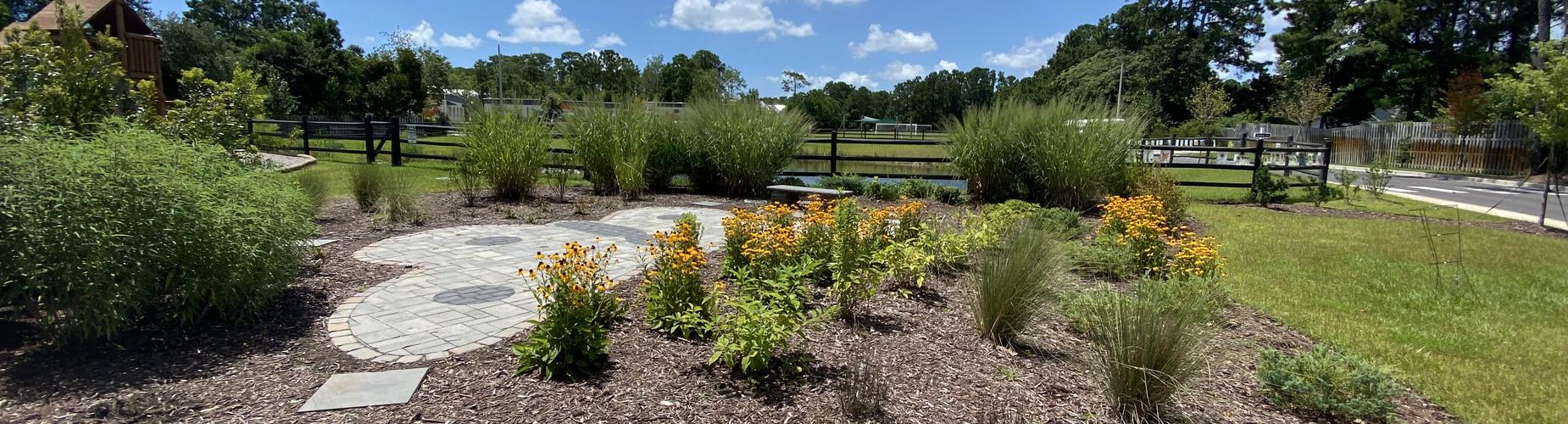 Friends School of Wilmington | Wilmington, NC Preschool - 8th Grade