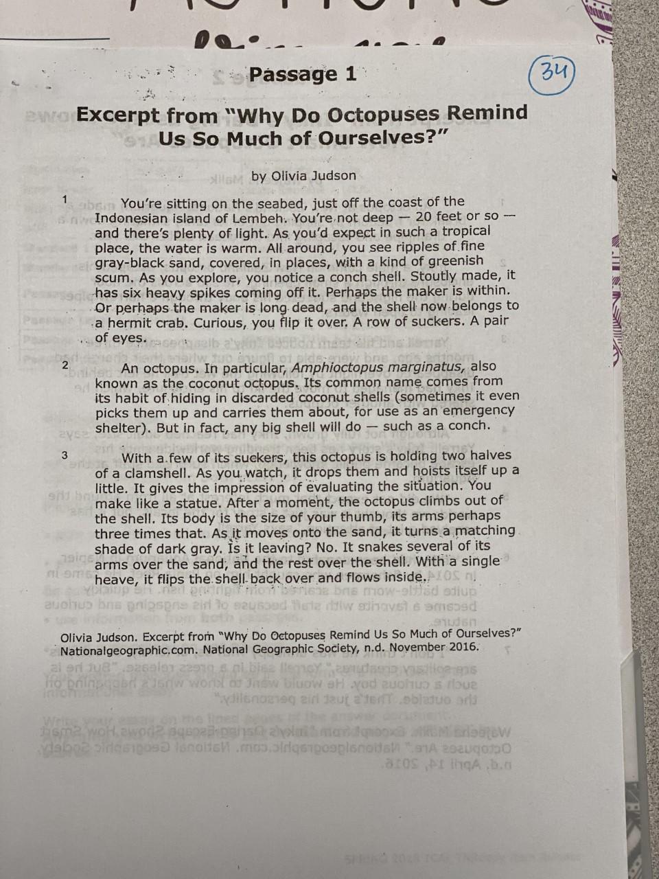 Informational Explanatory Essay Toolbox Jennifer Polston Blackman Informational Explanatory Essay Toolbox Jennifer Polston Blackman
