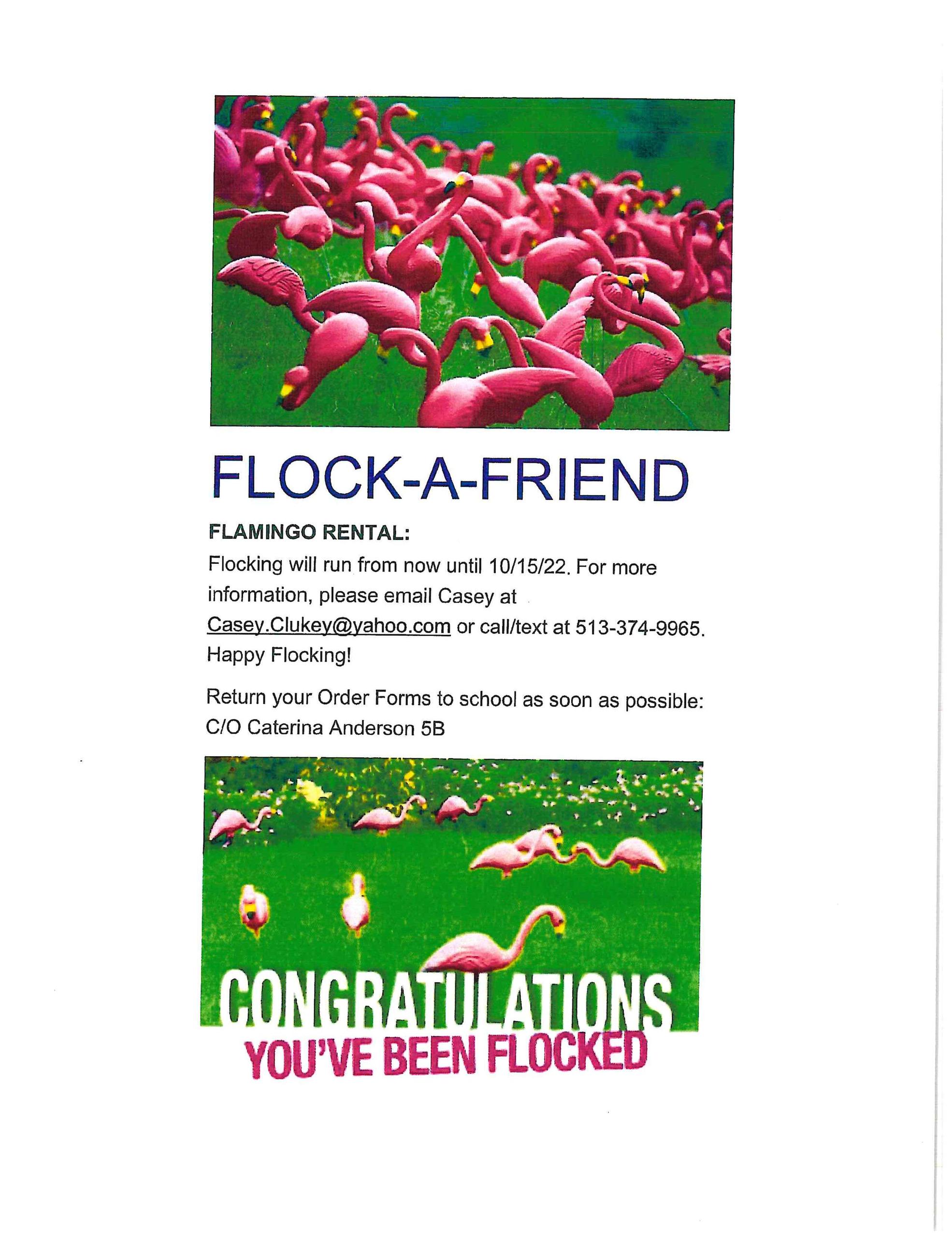 PTO Flock-A-Friend | St. Thomas More School