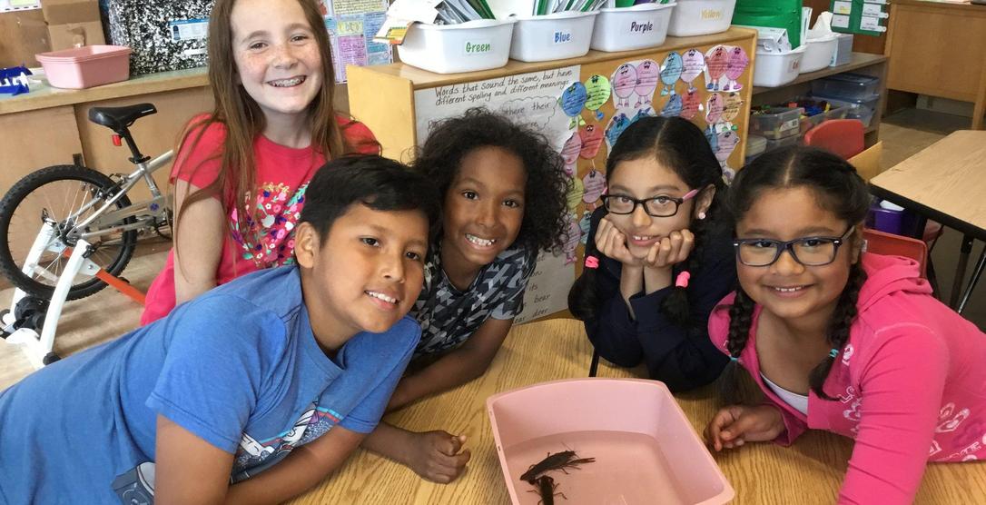 Adams Elementary School