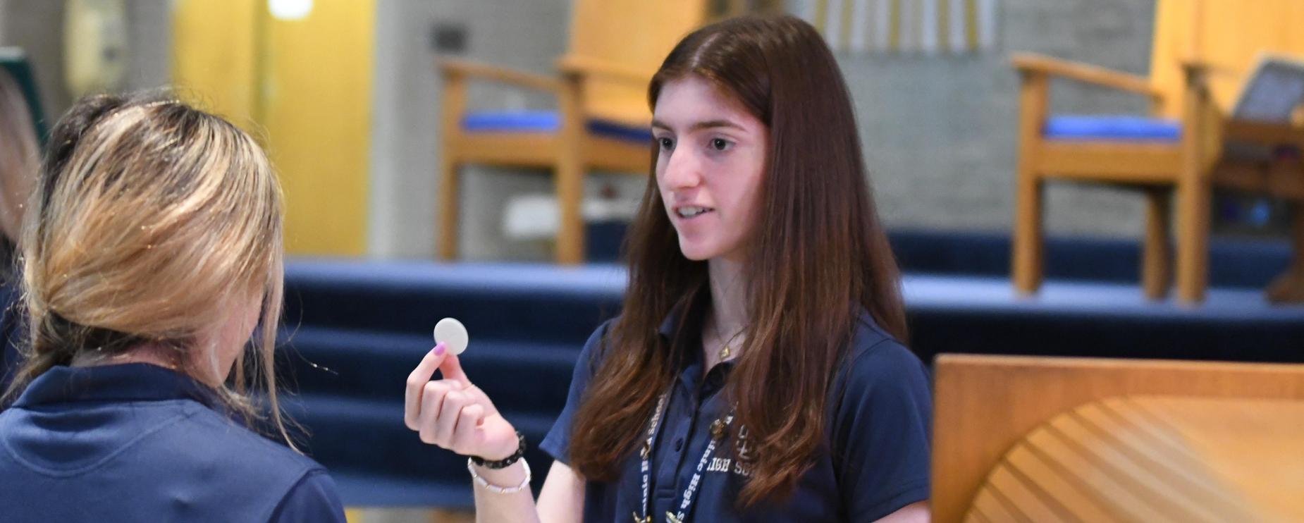 St. Dominic High School