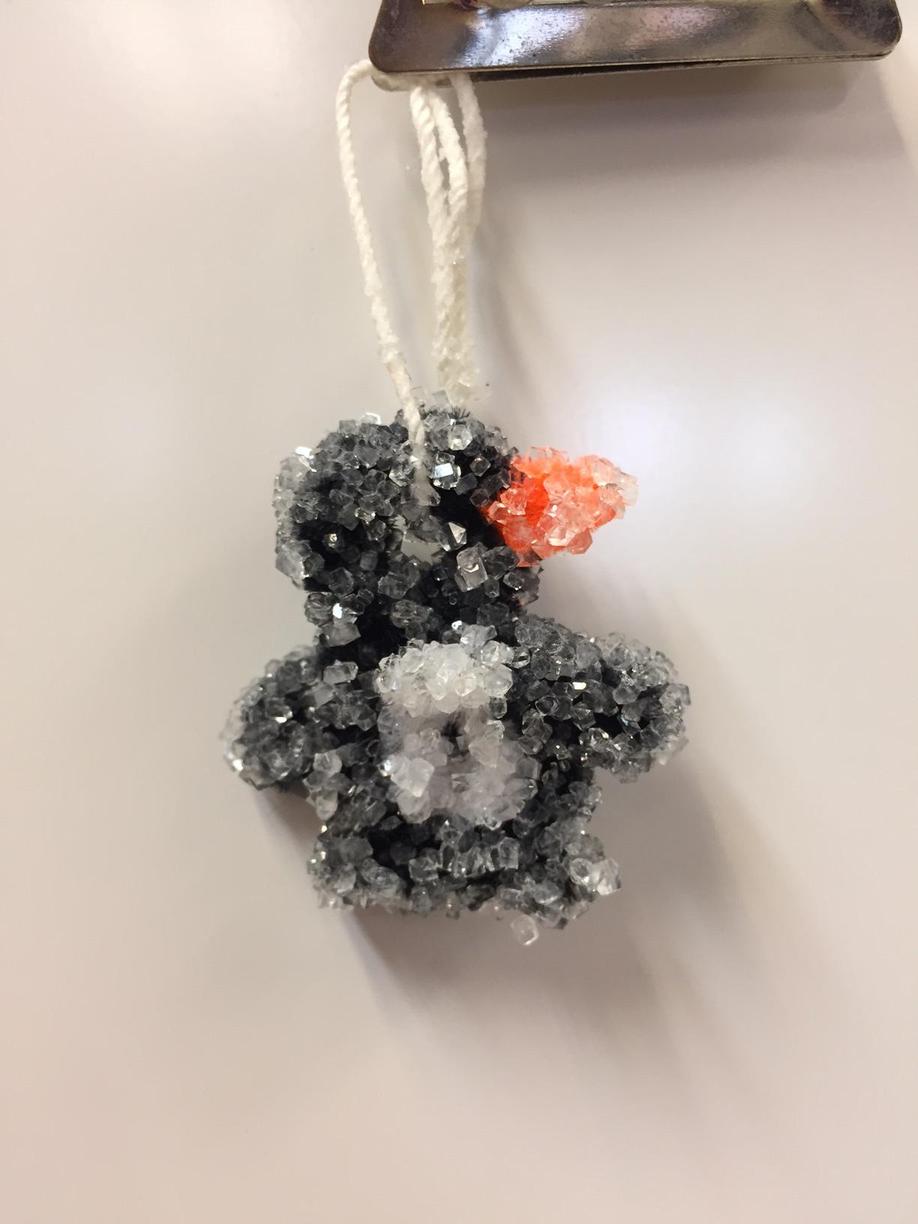 Ionic Crystal Lattice Lab – NATALIE NEVI – Norwin High School