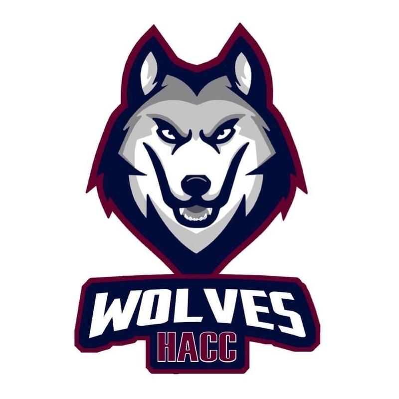 Amos K. Hutchinson Elementary