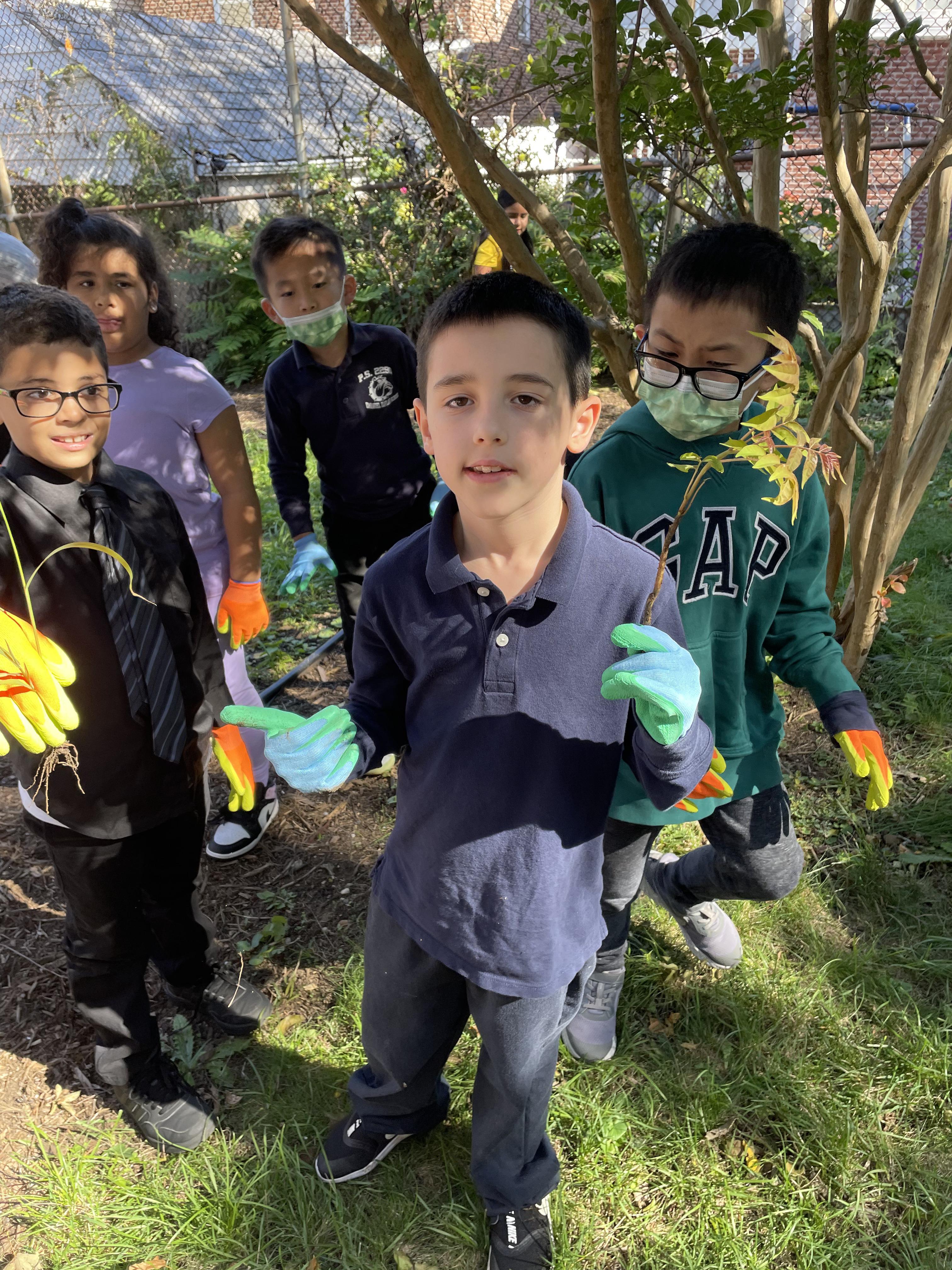 Project Based Learning - Science – Project Based Learning – PS 229 ...