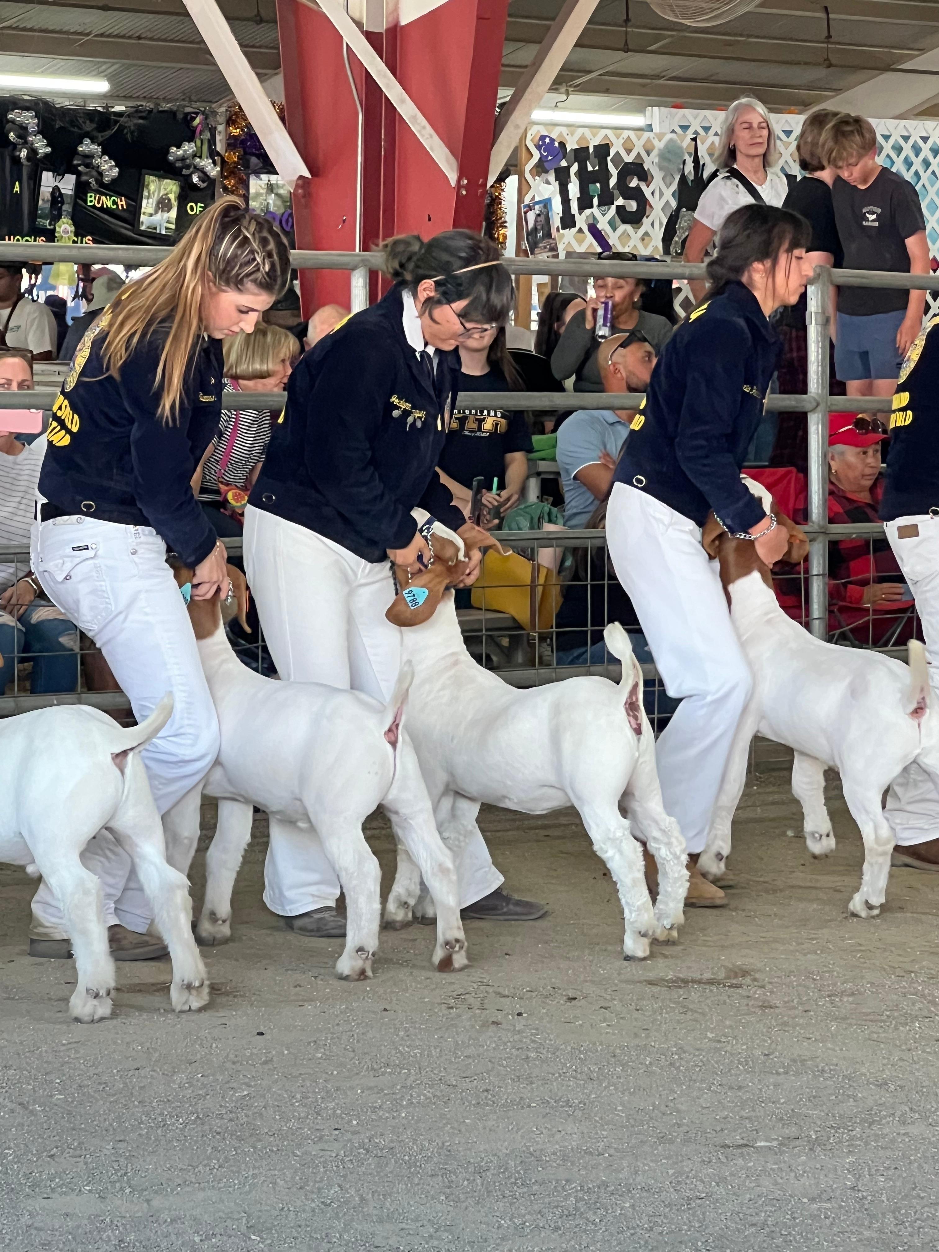 Animal Science – Career and Technical Education – West High School