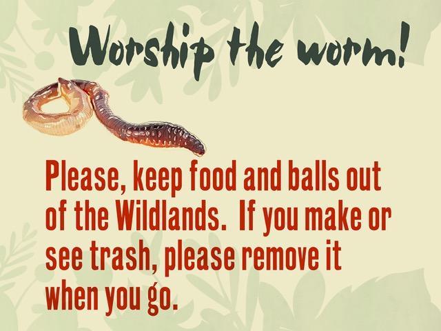 Caring For The Wildlands – Walgrove Wildlands – Walgrove Avenue Elementary