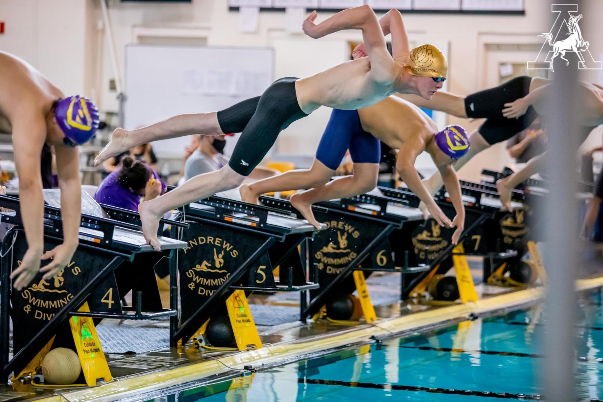 Swimming & Diving - Swimming & Diving - Andrews High School